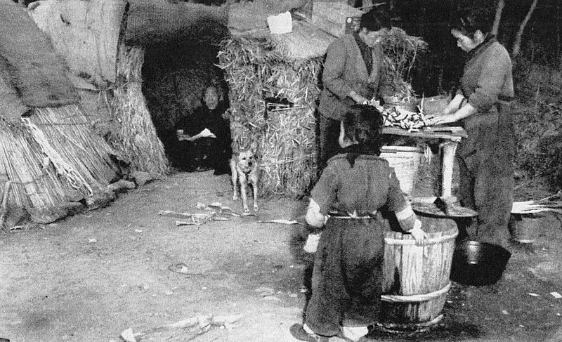 【謎】水野美紀の「サンカ、有名人」とは何のこと？徹底調査してみた！